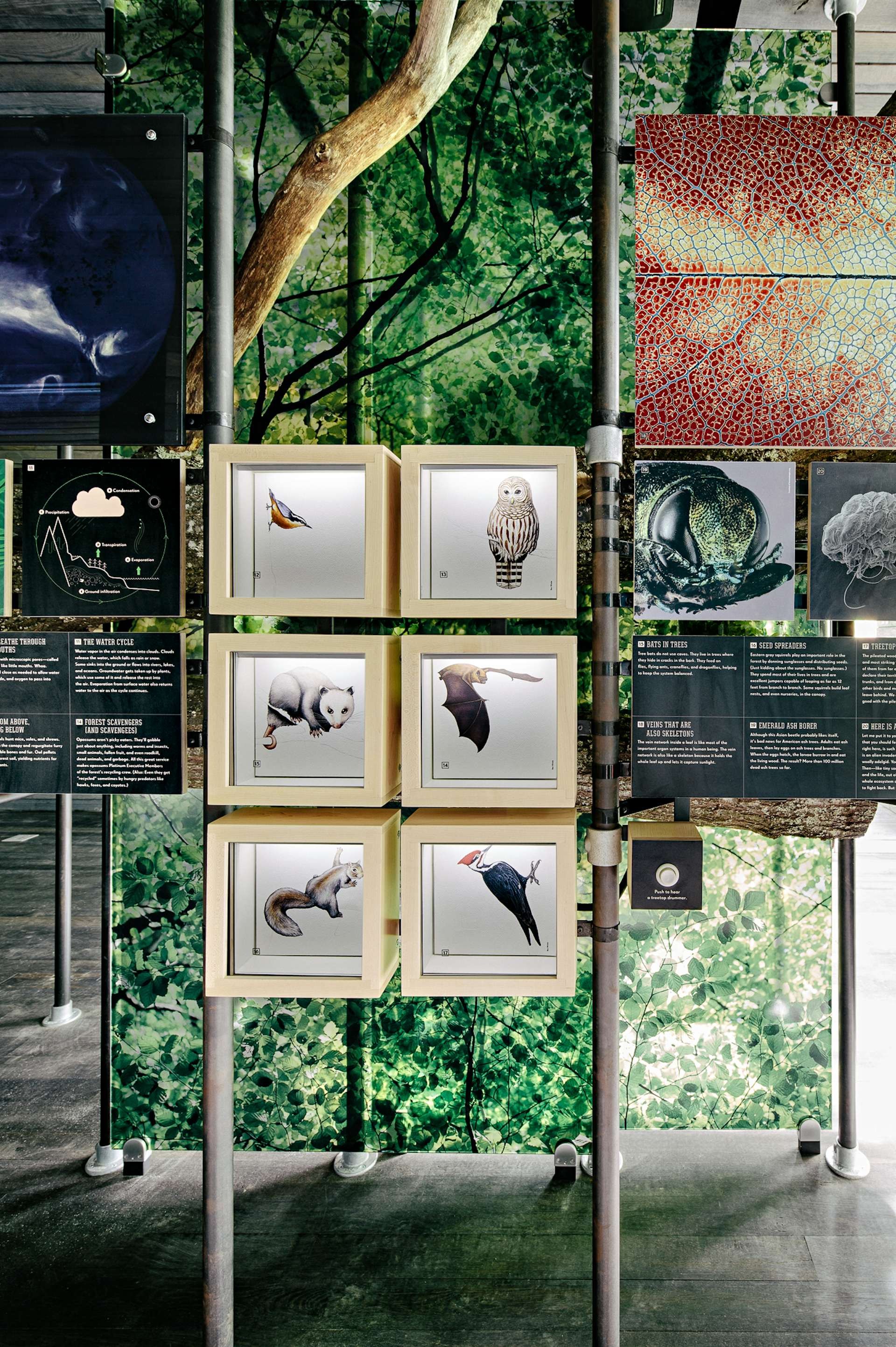 Sustainability Treehouse (10 Photos) - Dwell