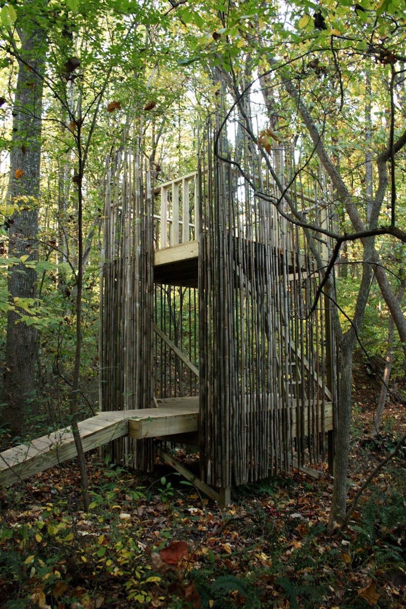 Photo 1 of 10 in Baltimore Tree House - Dwell