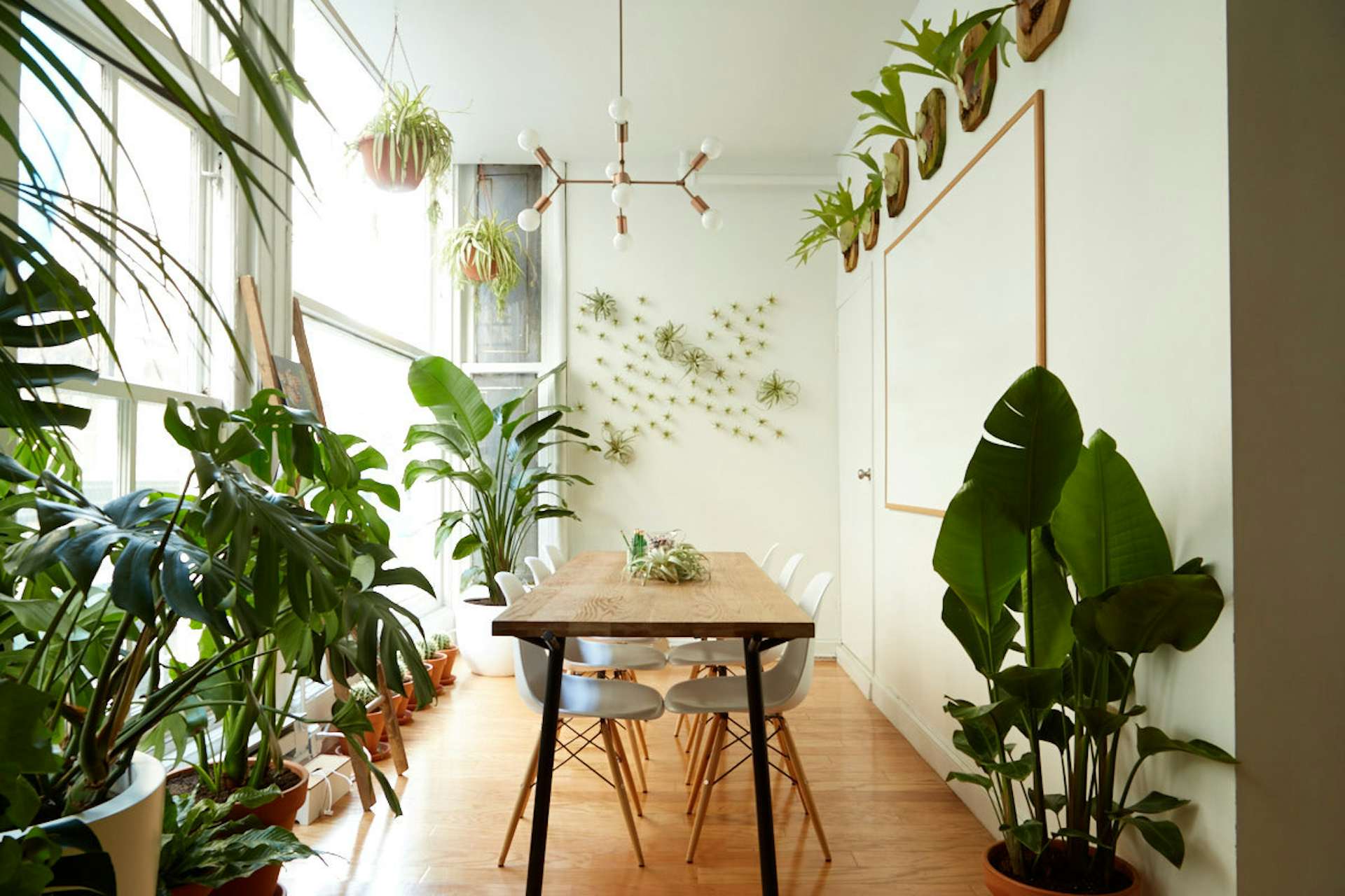 Lush, Plant-Filled Dwellings That Pay Homage to Home Horticulture - Dwell