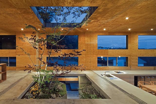 Photo 16 of 23 in 23 Unconventional Homes Built Around Trees from Back ...