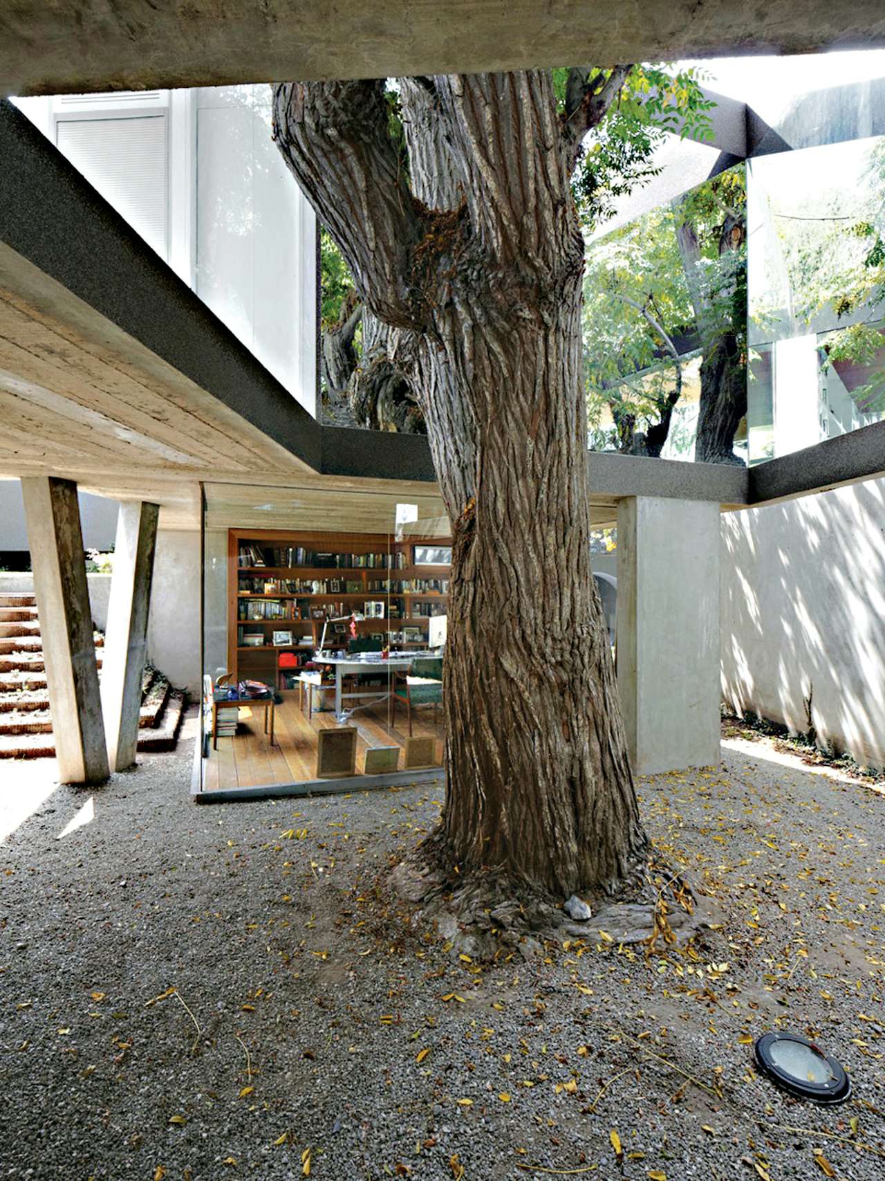 Photo 9 of 23 in 23 Unconventional Homes Built Around Trees from A ...