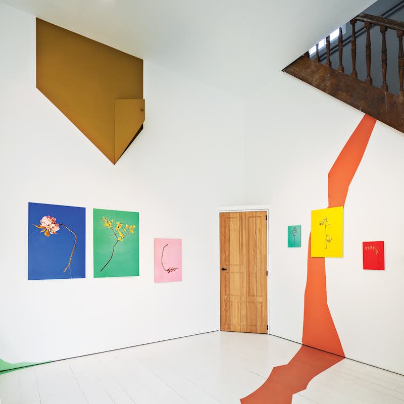 10 Ways to Use Color to Transform a Room - Dwell