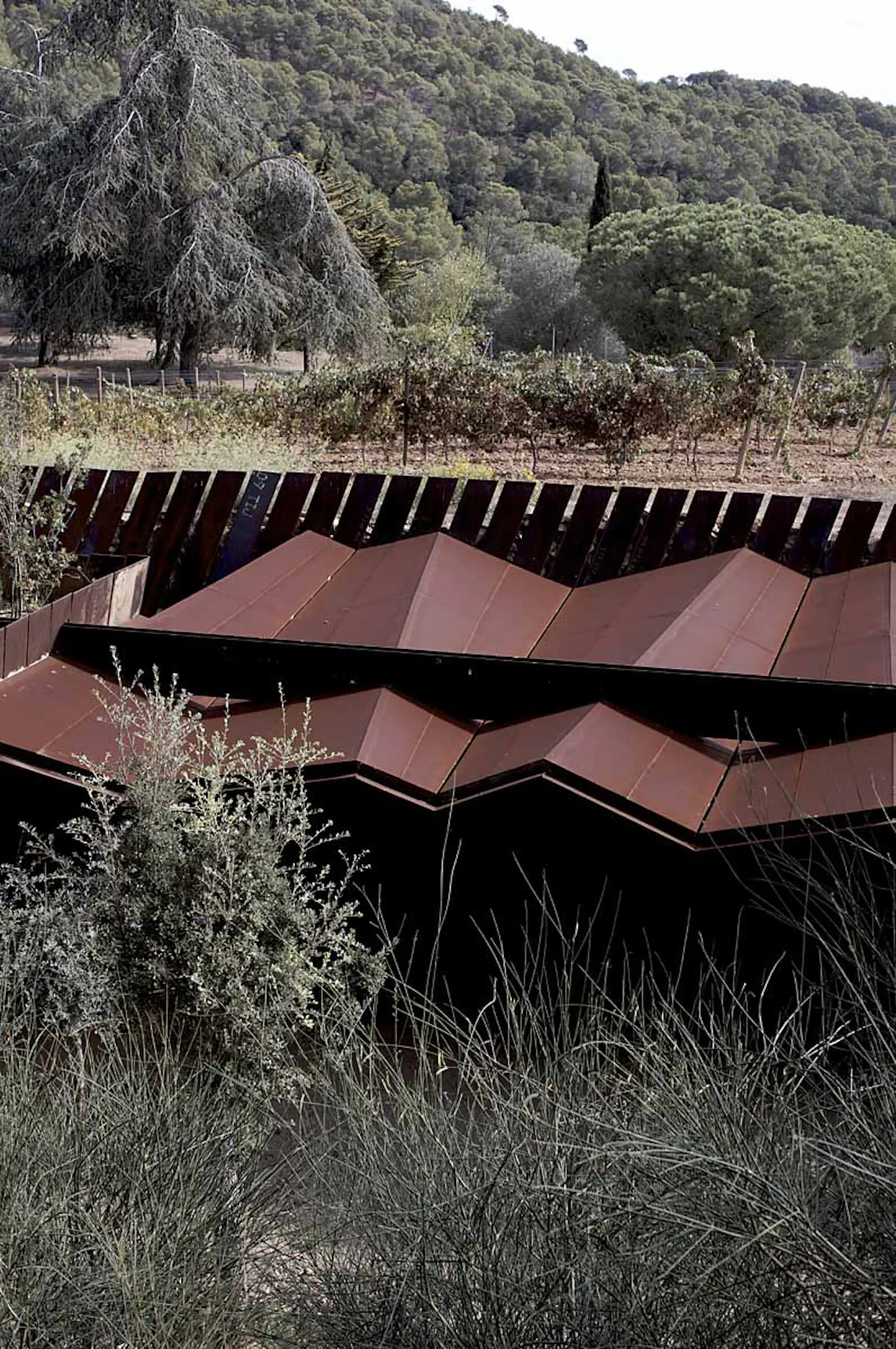 La Bodega Winery in Palamos, Spain - Dwell