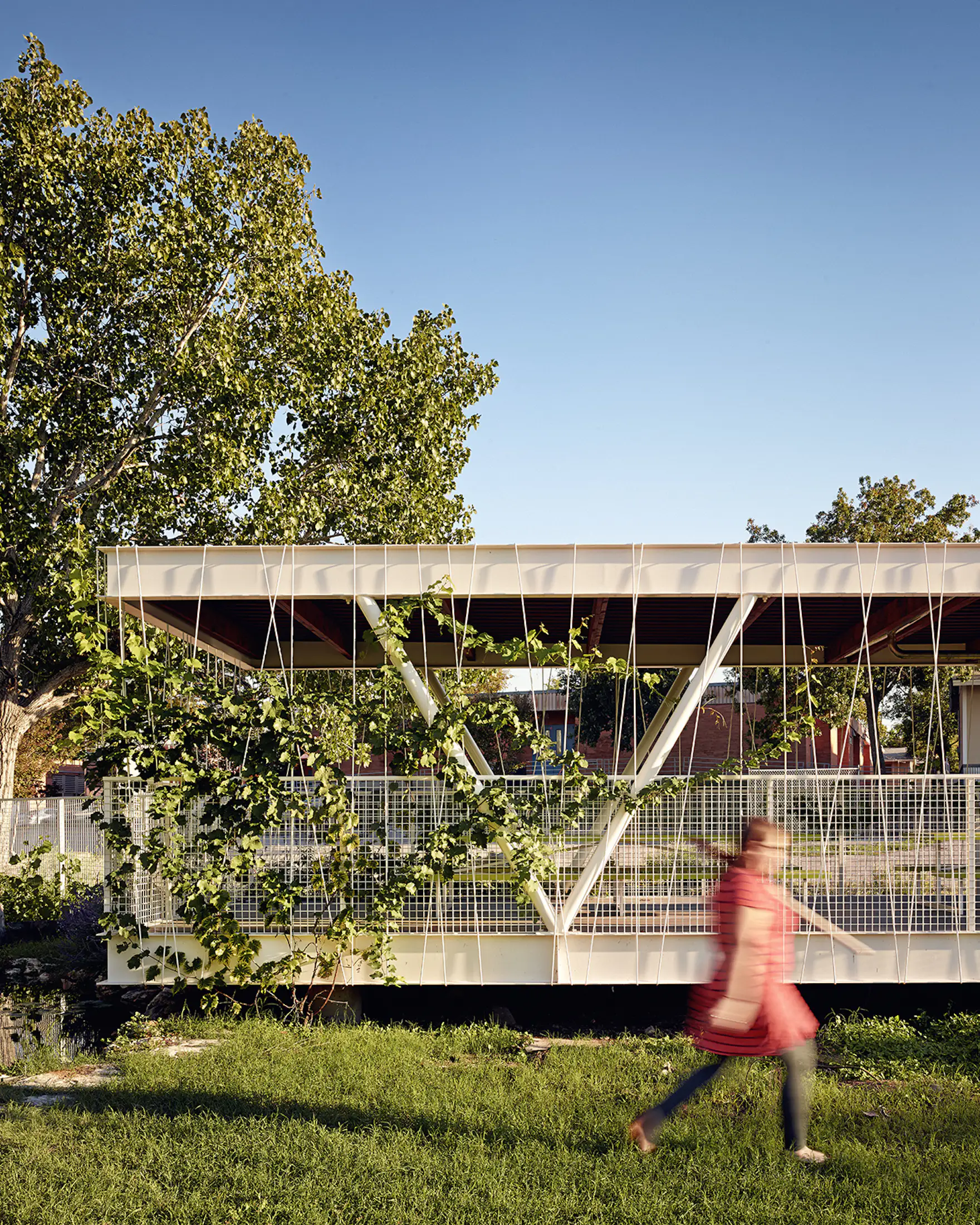 Austin’s Casis Elementary School Teaching Garden - Dwell