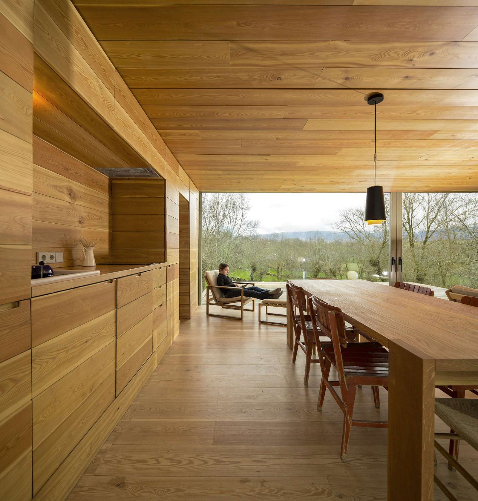 How to Recognize Different Wood Species: The 10 Most Common Types of ...