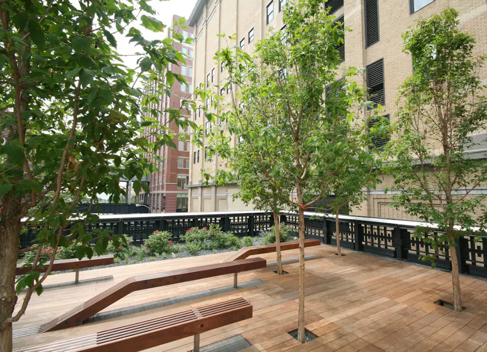 Photo 3 of 5 in The High Line Opens - Dwell