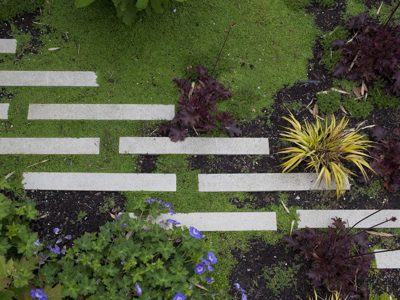 15 Modern Patio Paver Ideas - Dwell