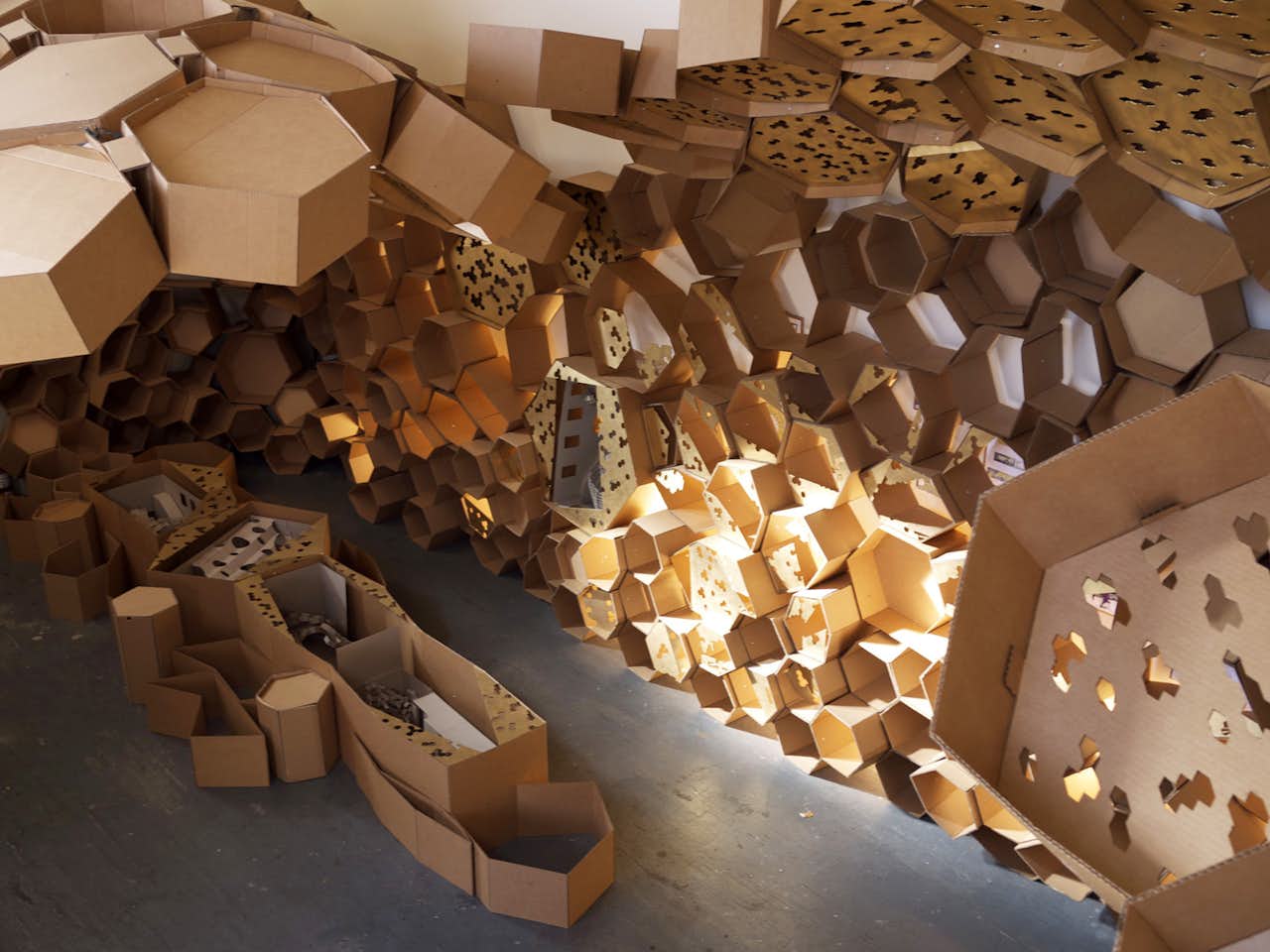 Arch Students Build a Hive - Dwell