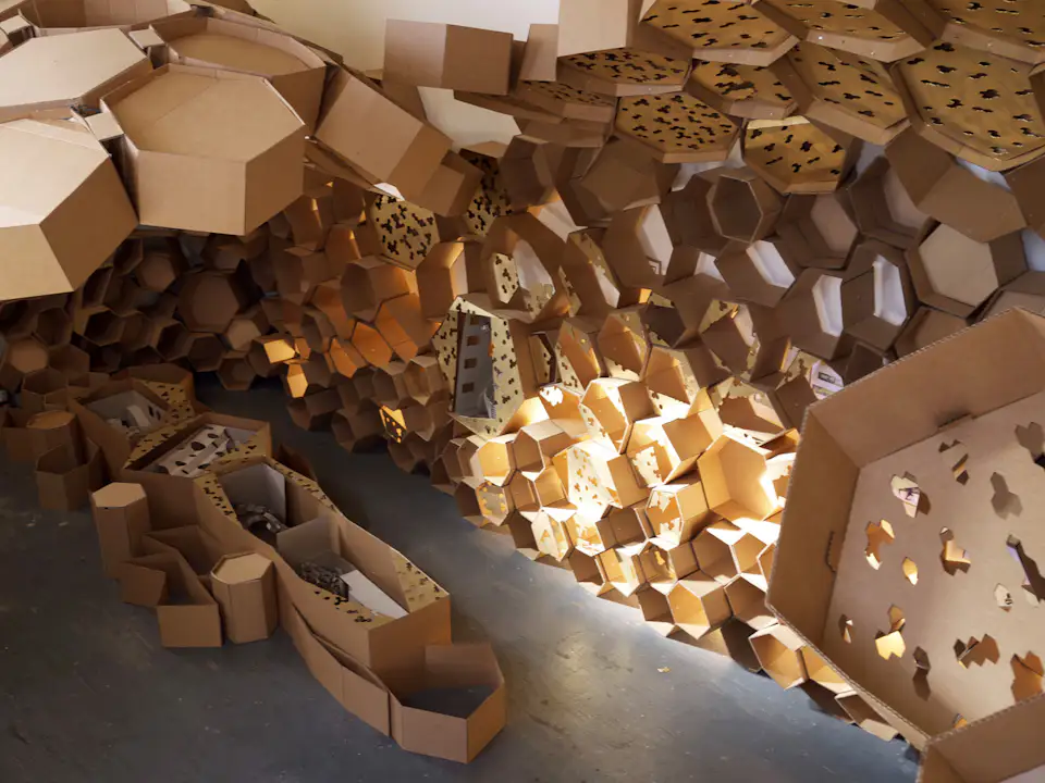Photo 14 of 19 in Arch Students Build a Hive - Dwell