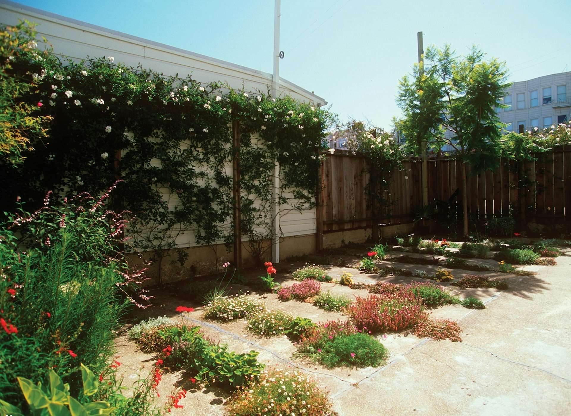 Photo 7 of 13 in CMG Landscape Architecture - Dwell