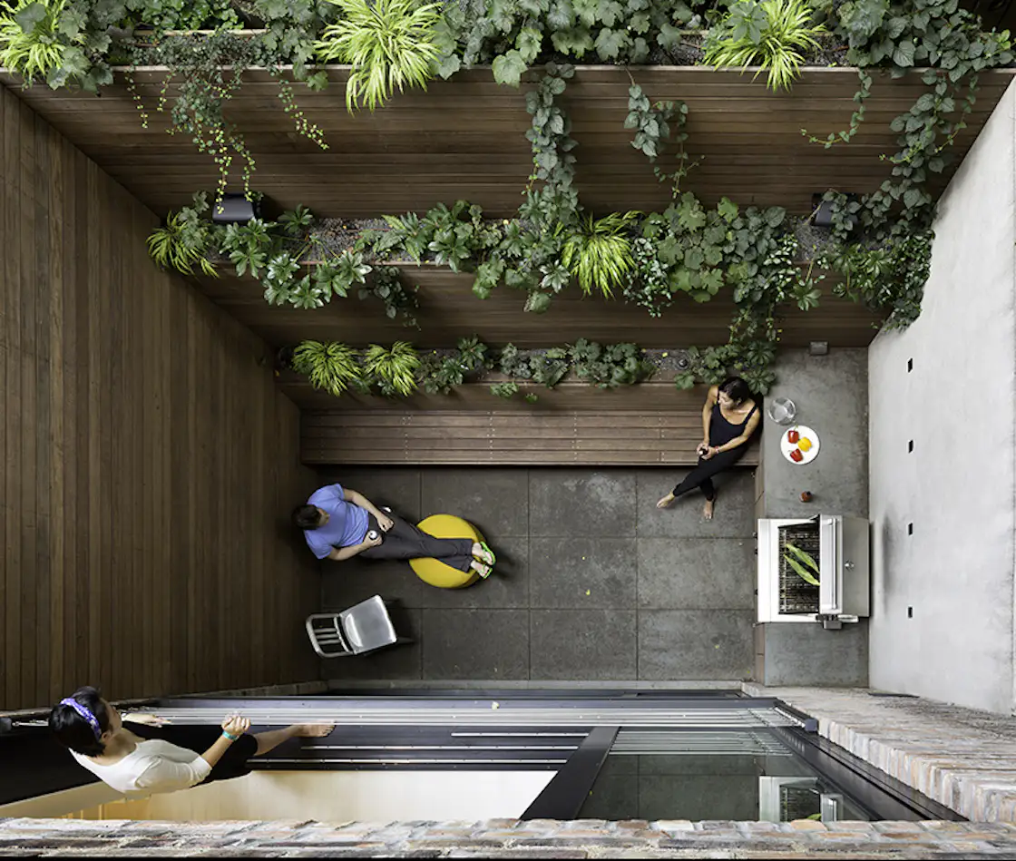 20 Nature-Loving Homes Where Biophilia Thrives - Dwell