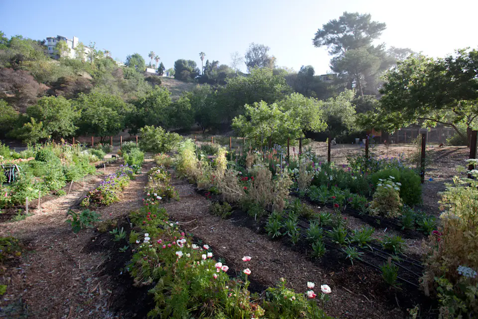 Outdoor Gardens (10 Photos) - Dwell