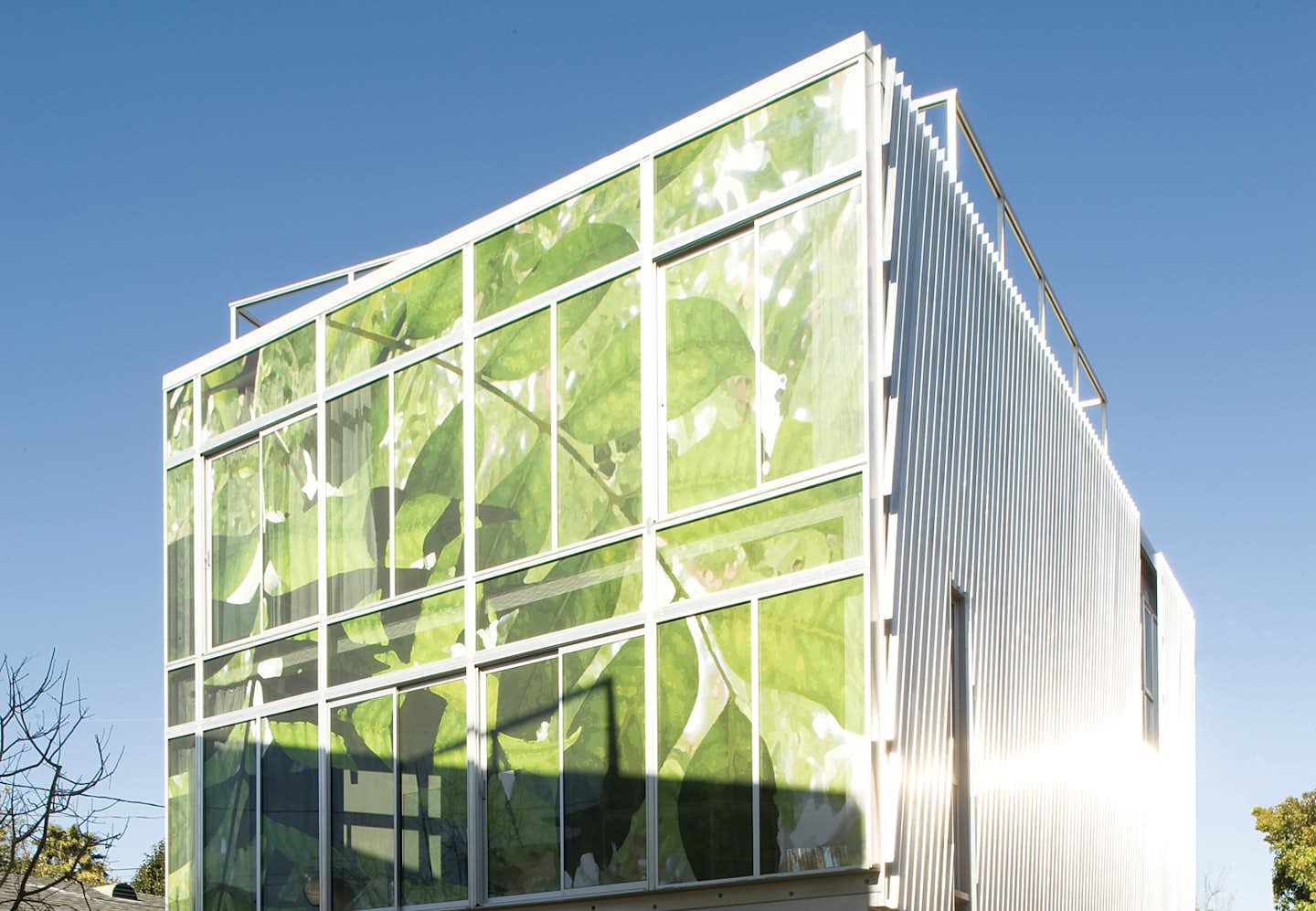 Photo 1 of 1 in A Clever Window Treatment: Bus Graphics - Dwell