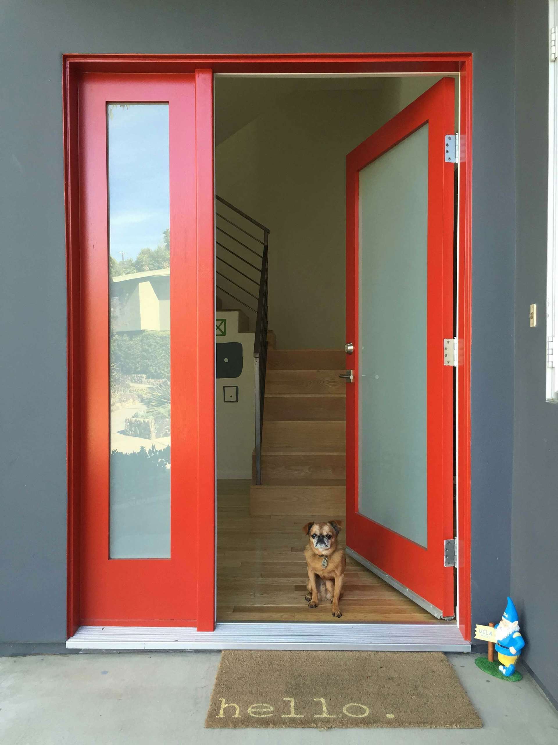 Photo 1 of 1 in Photo of the Week: A Door and a Dog to Welcome You Home ...
