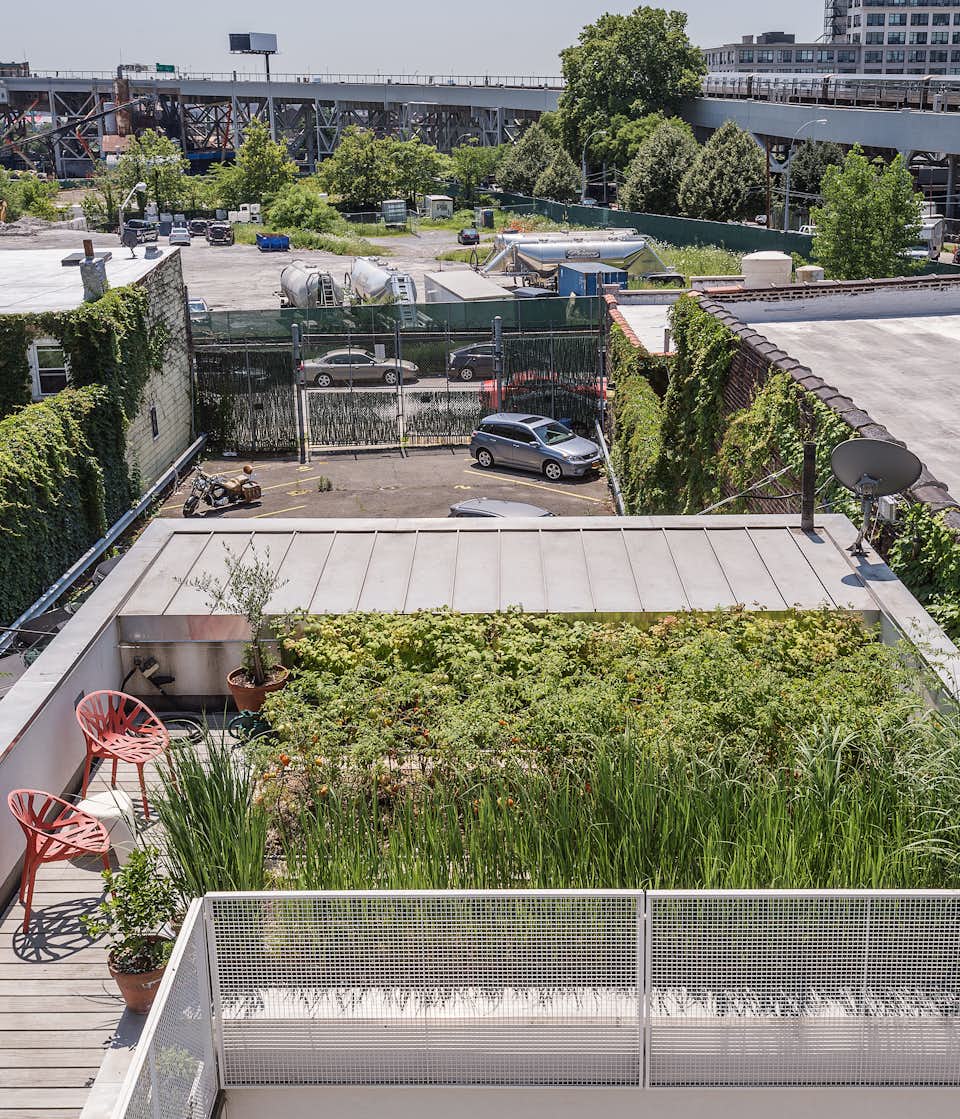 Photo 9 of 12 in A Rooftop Garden Completes This Urban Pastoral Home ...