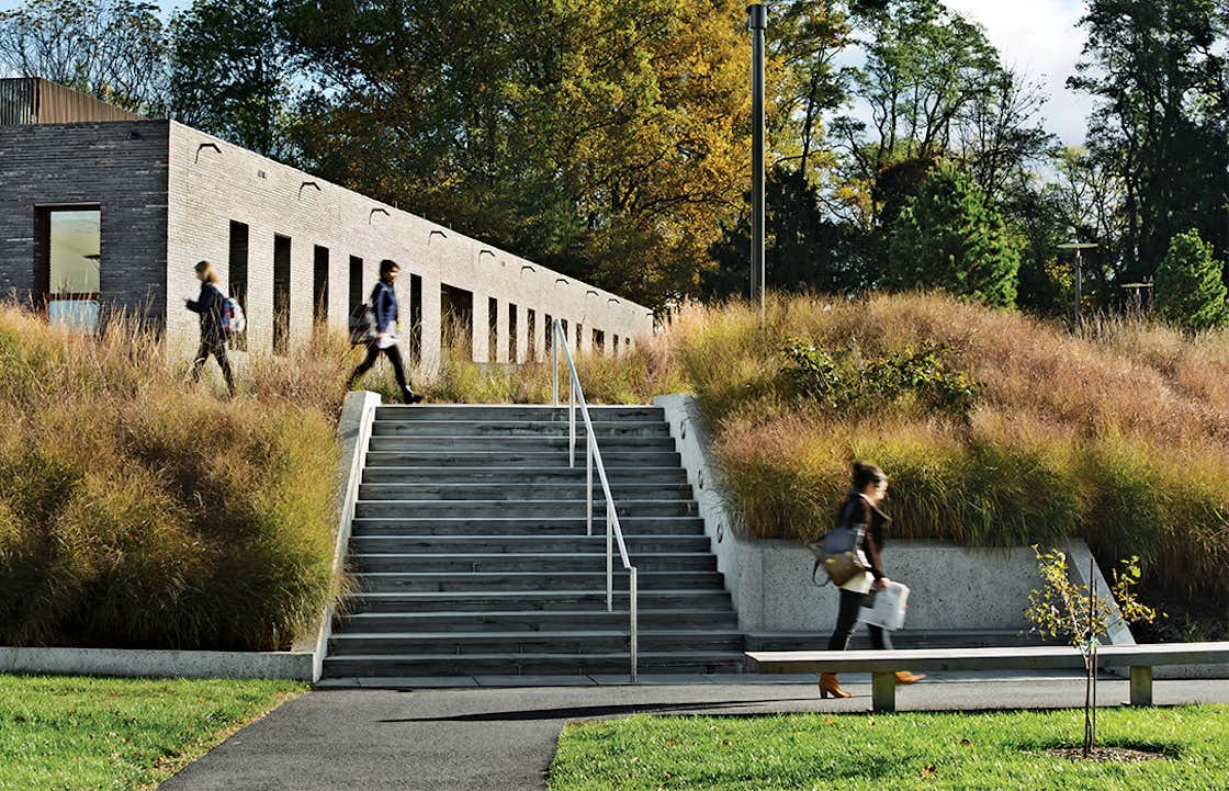 11 Innovative and Modern Schools Where Creativity and Good Design Rule ...