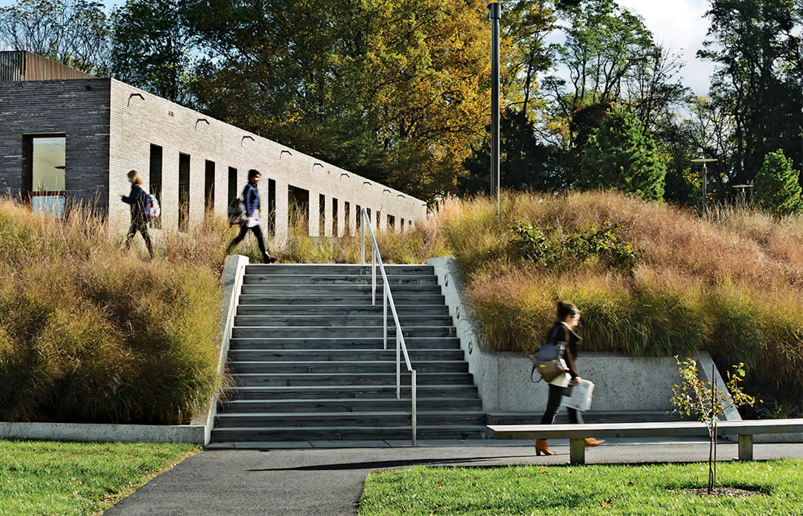 11 Innovative and Modern Schools Where Creativity and Good Design Rule ...