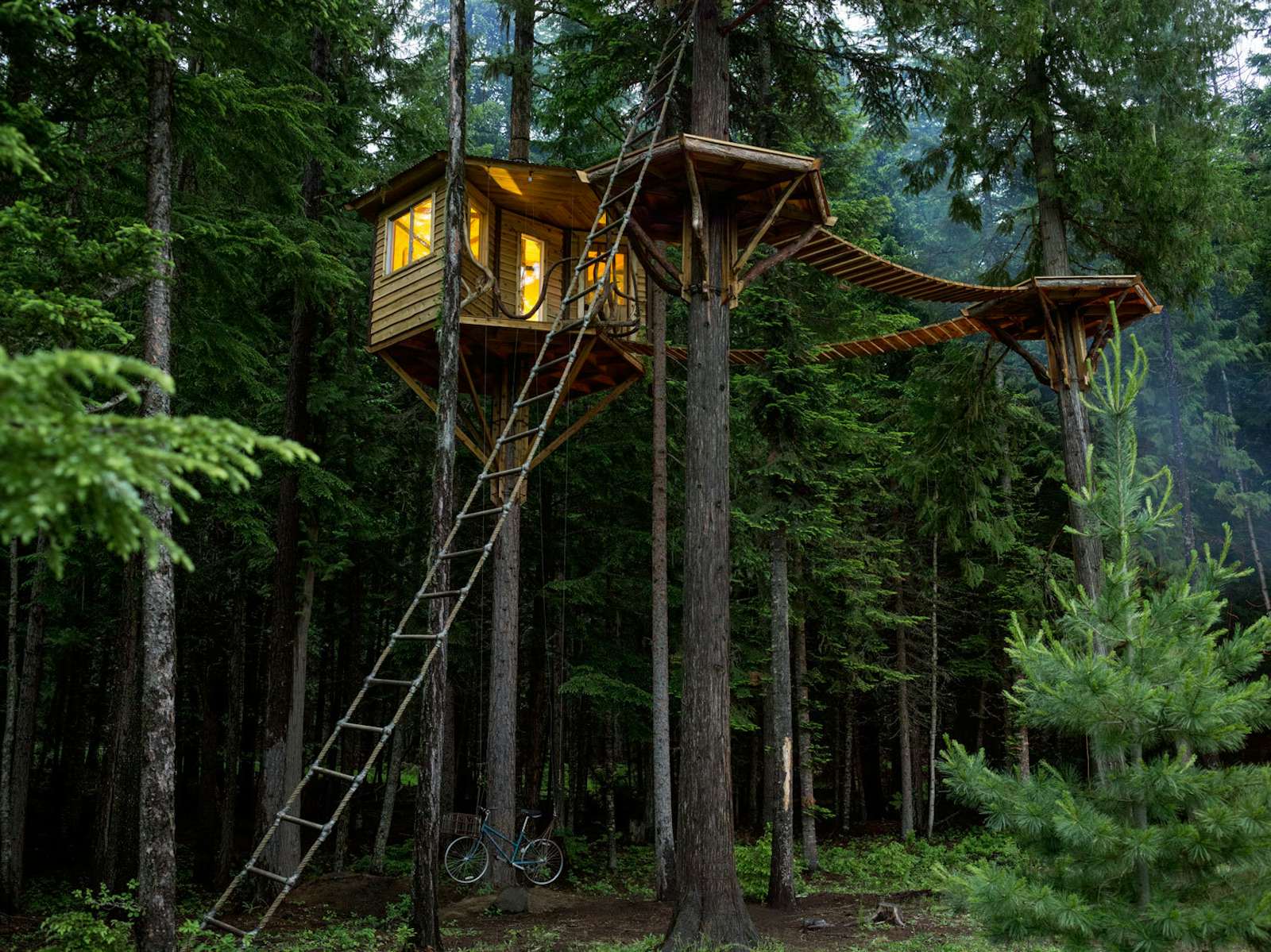 16 Unbelievable Tree Houses We're Pining Over - Dwell