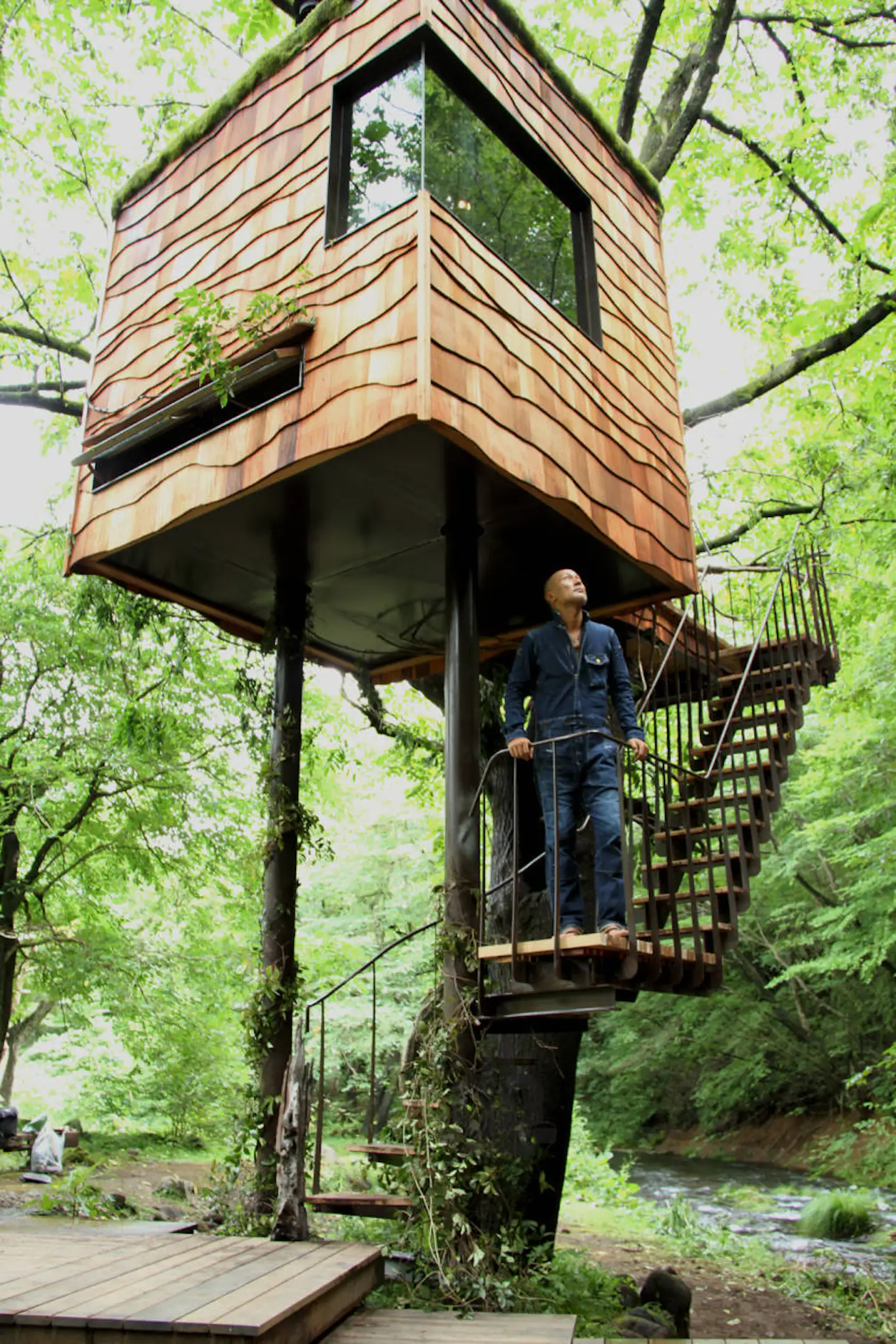 Surreal Tree House Plans - Modern Design Tree House Plans - Dwell