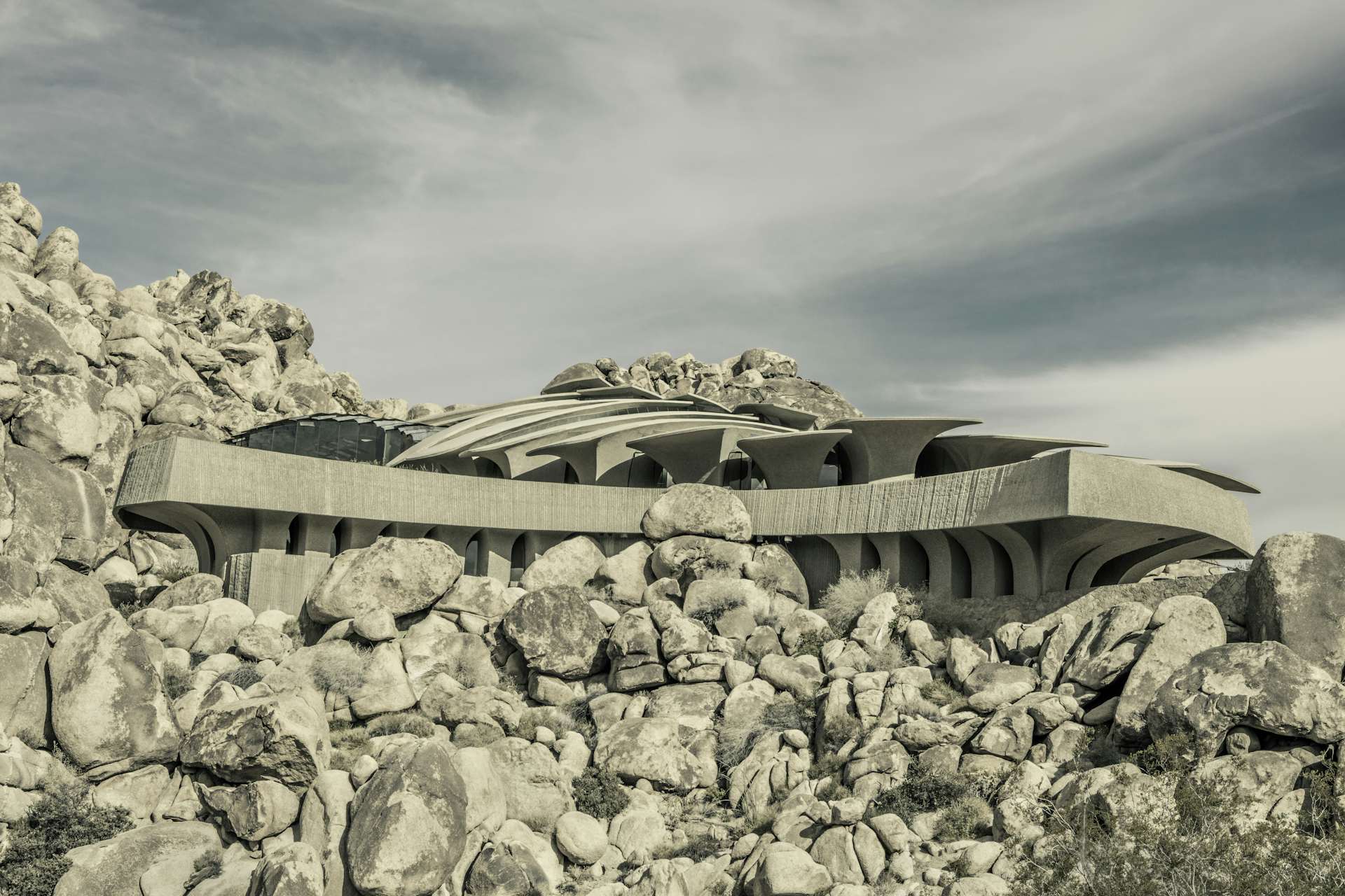 Photo 1 of 9 in Photo Essay: Revisit the Midcentury Classics of Palm ...