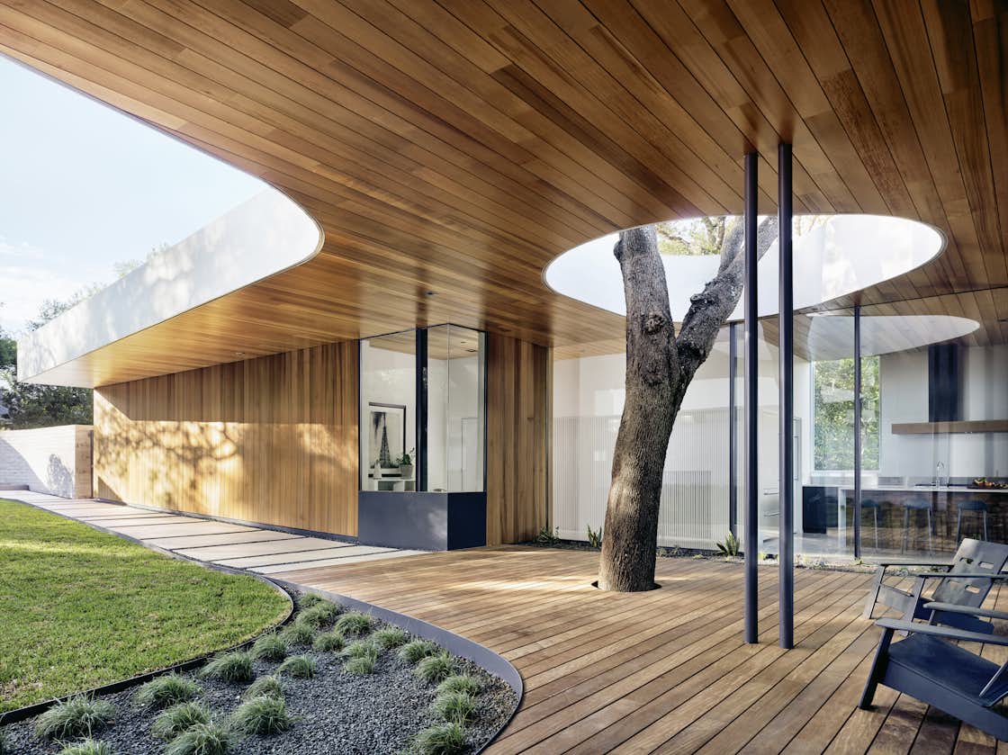 Photo 1 of 10 in This House in Austin Has a Tree Growing Right Through ...