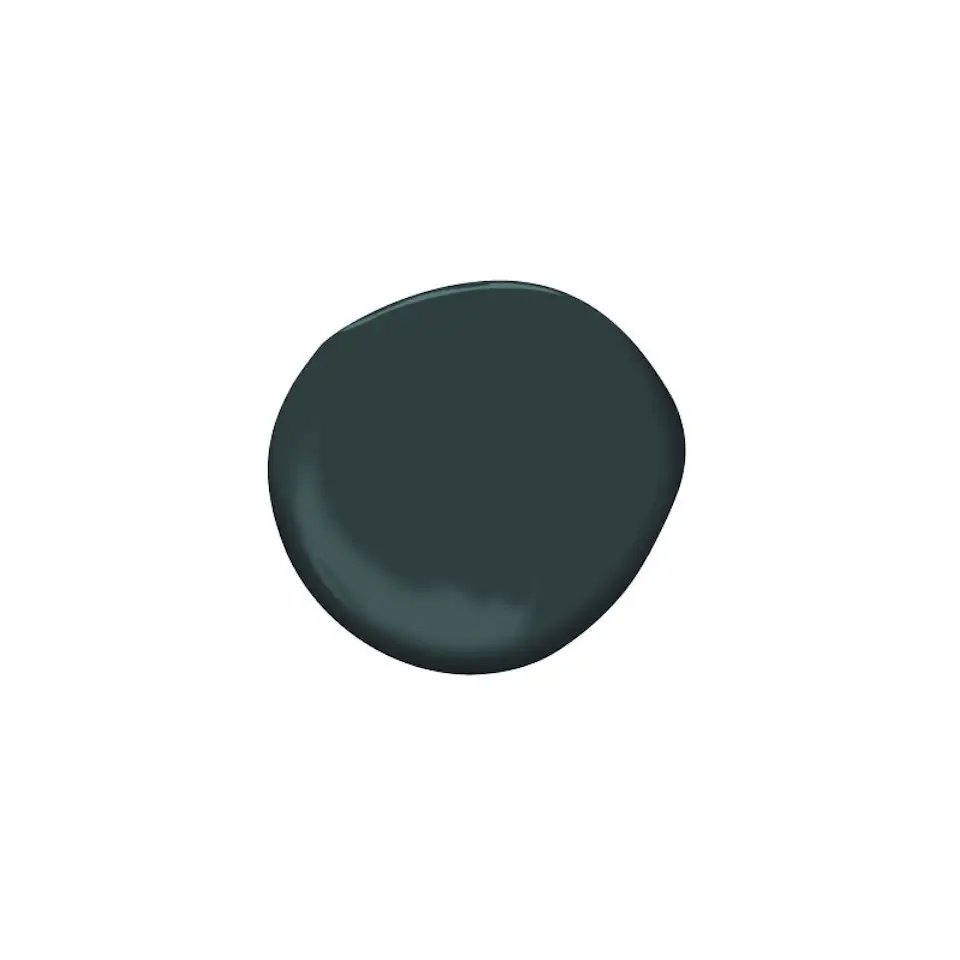 Benjamin Moore Paint - Salamander by Benjamin Moore - Dwell
