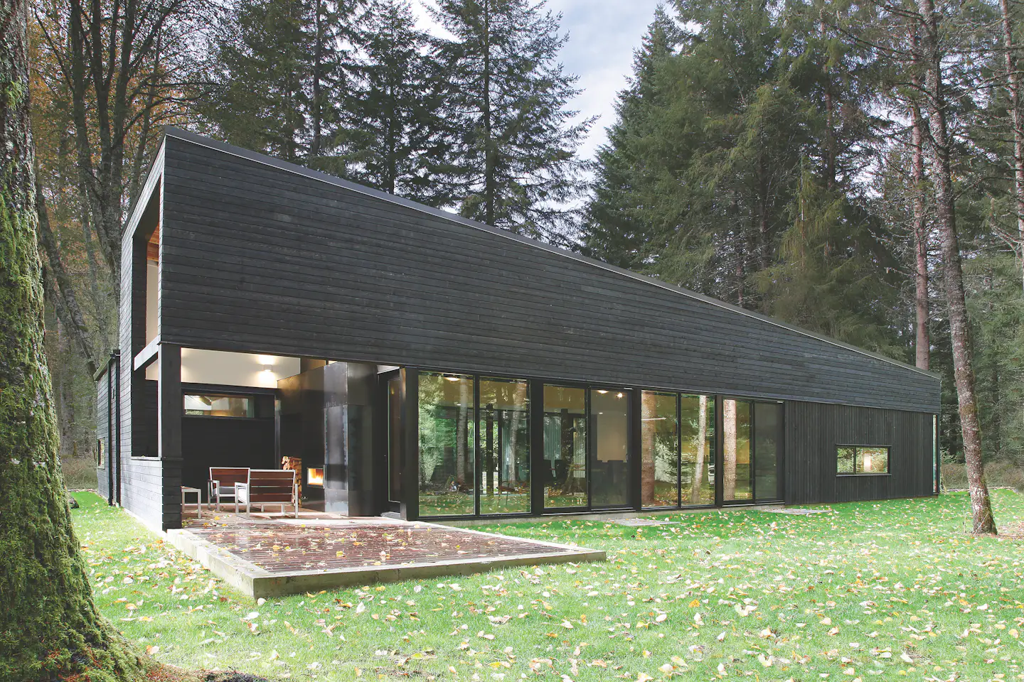 Photo 8 of 16 in 5 Stunning Uses of Western Red Cedar - Dwell