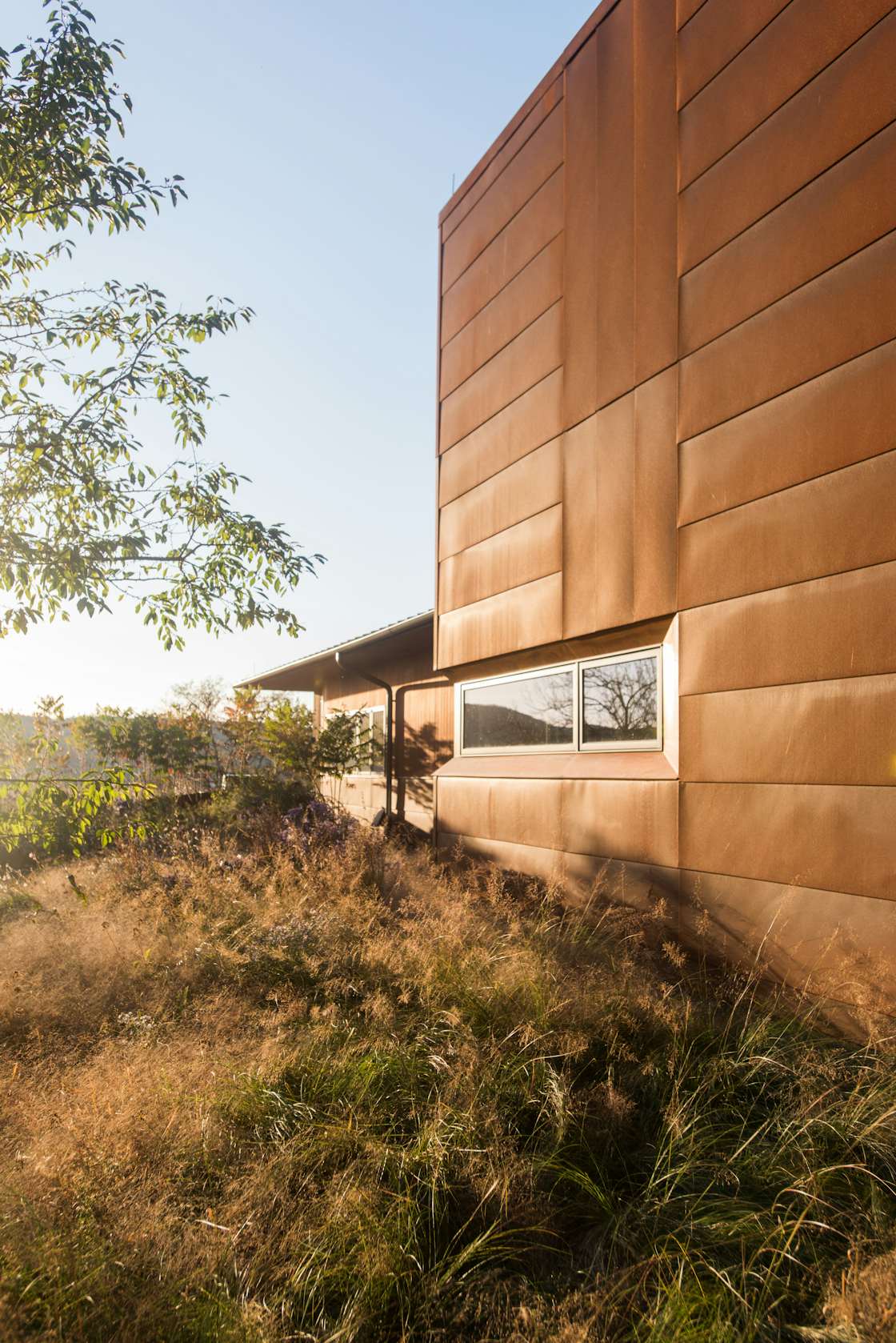 Native Plants Form a Meadow-Like Habitat for a Rustic New York Home - Dwell