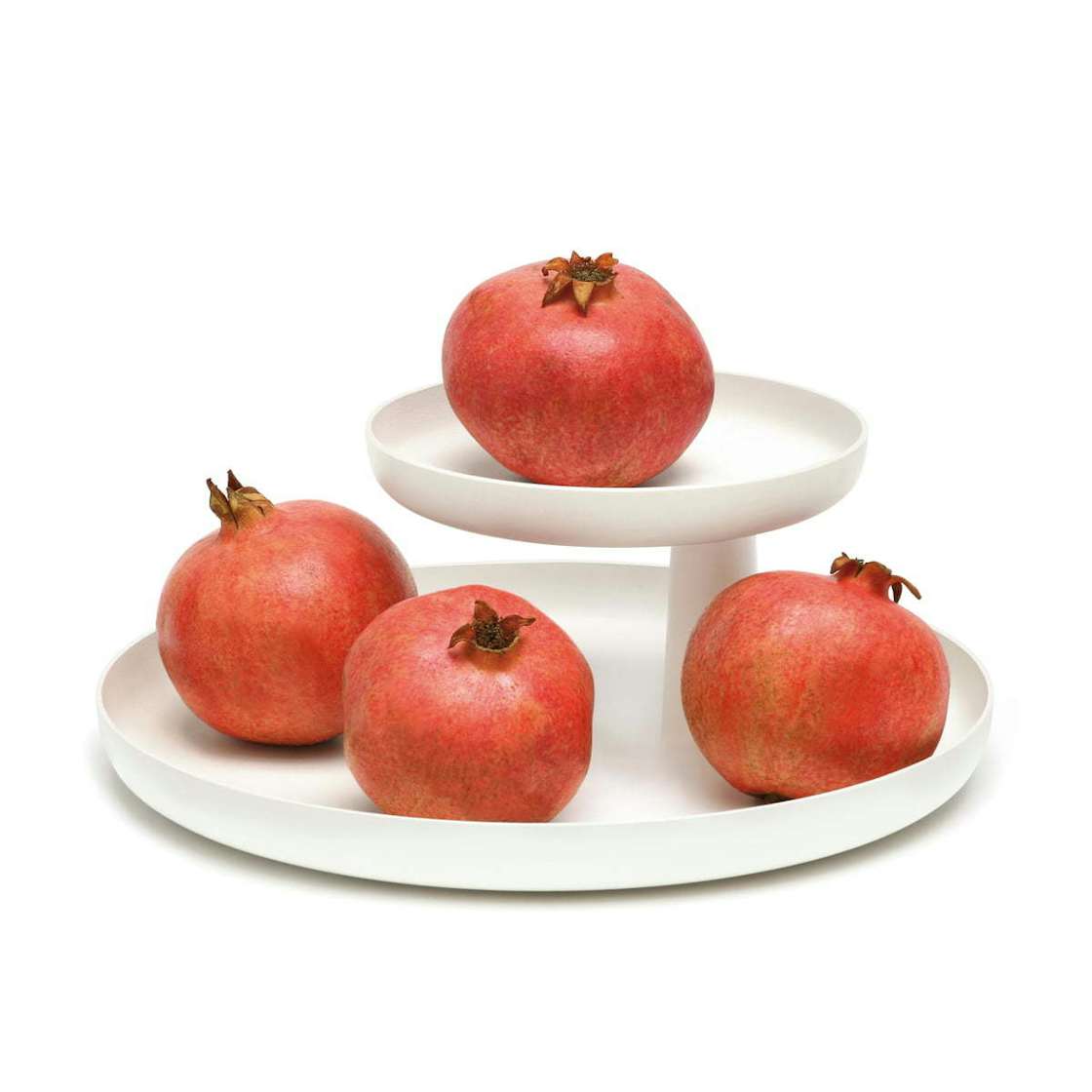 Discover the best cookie-tray.html products on Dwell - Dwell