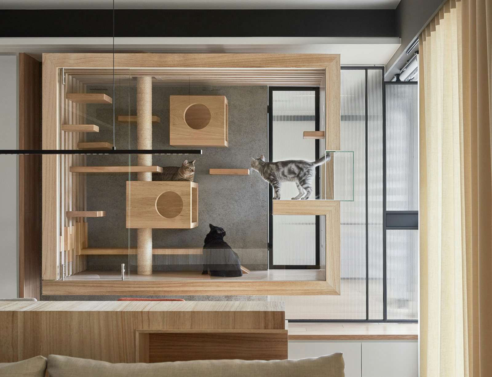 Cat Architecture: 6 Homes Designed With Felines in Mind - Dwell