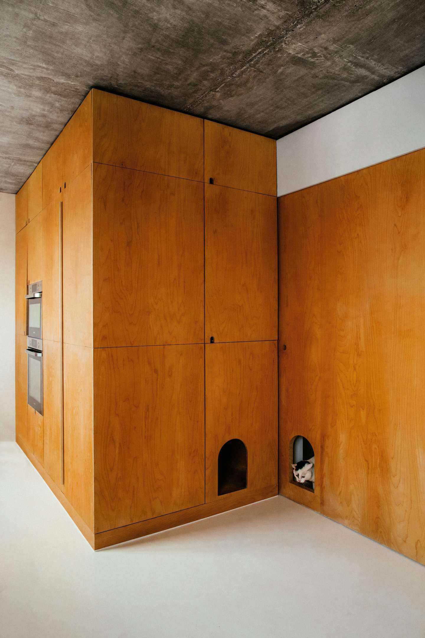 Sacha by Sabo Project - Dwell