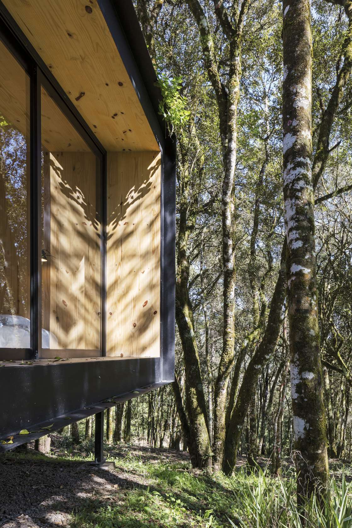 Photo 6 of 9 in A Brazilian Couple’s Prefab Cabin Is the Perfect ...