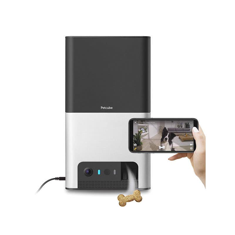 Petcube Bites 2 by Amazon - Dwell