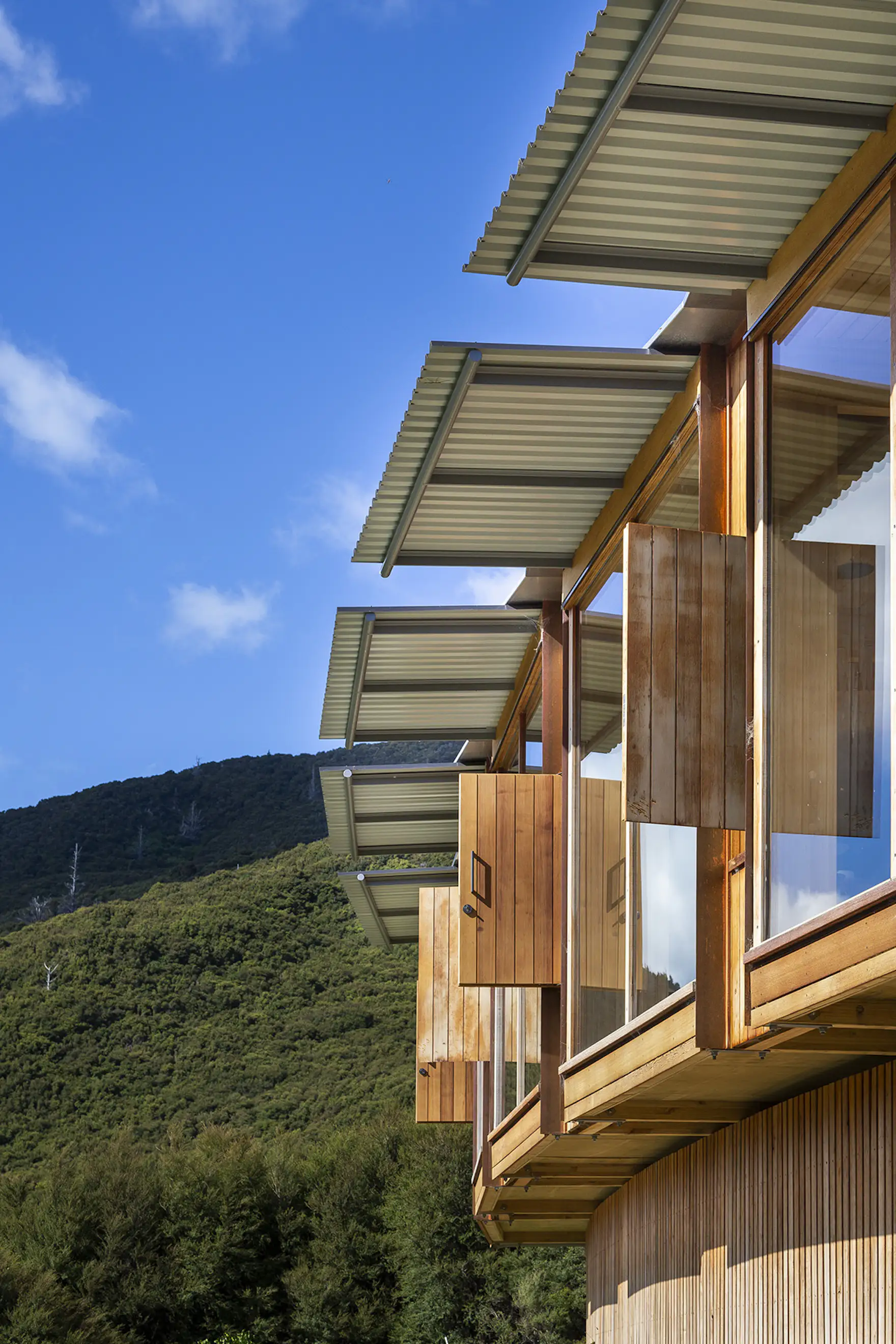 Te Ngahere Hou by Tennent Brown Architects - Dwell