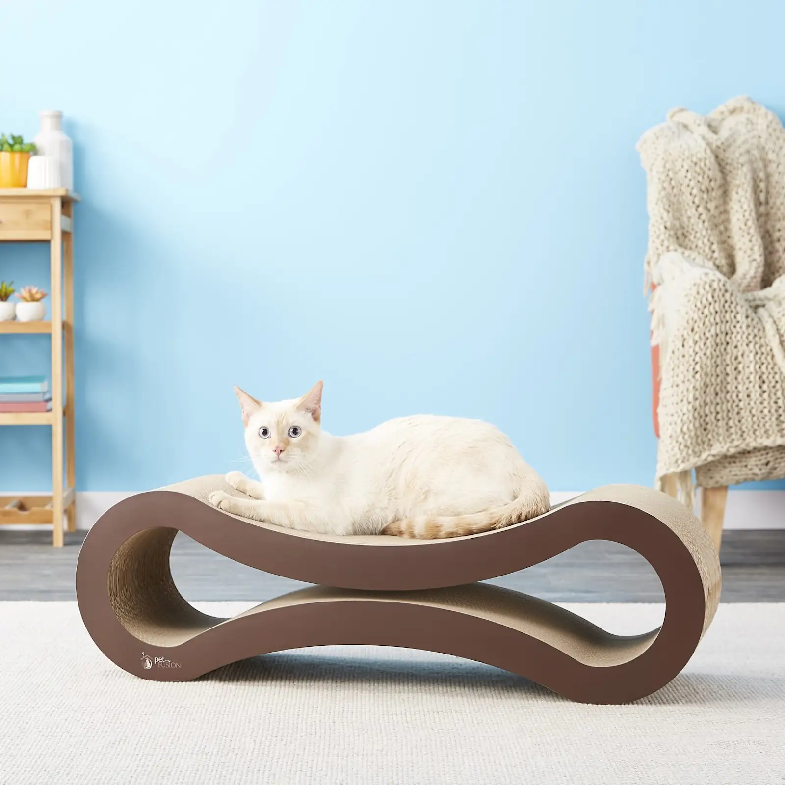 Modern Cat Beds That Won't Clash With Your Decor - Dwell