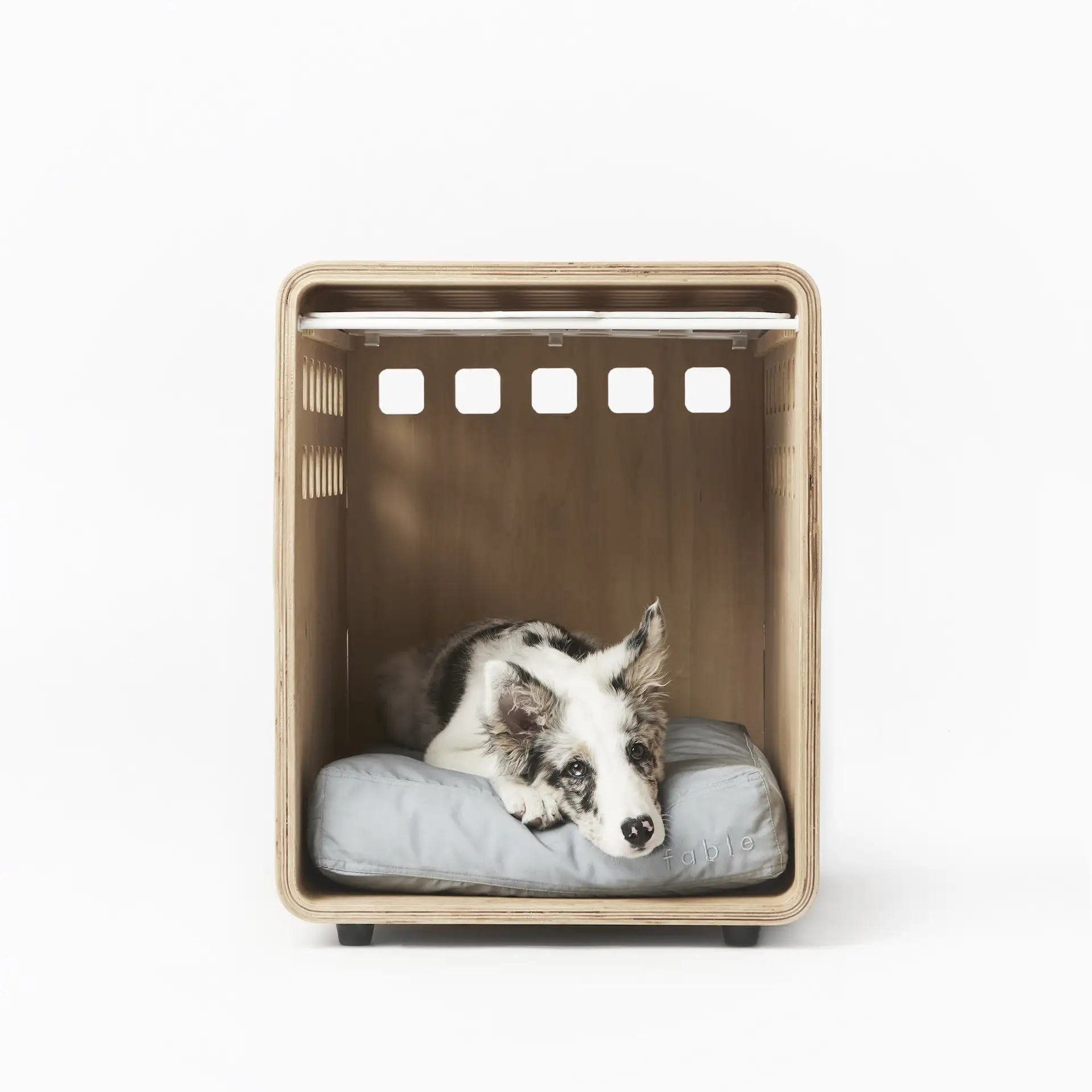 Fable Pets Crate by Fable Pets - Dwell