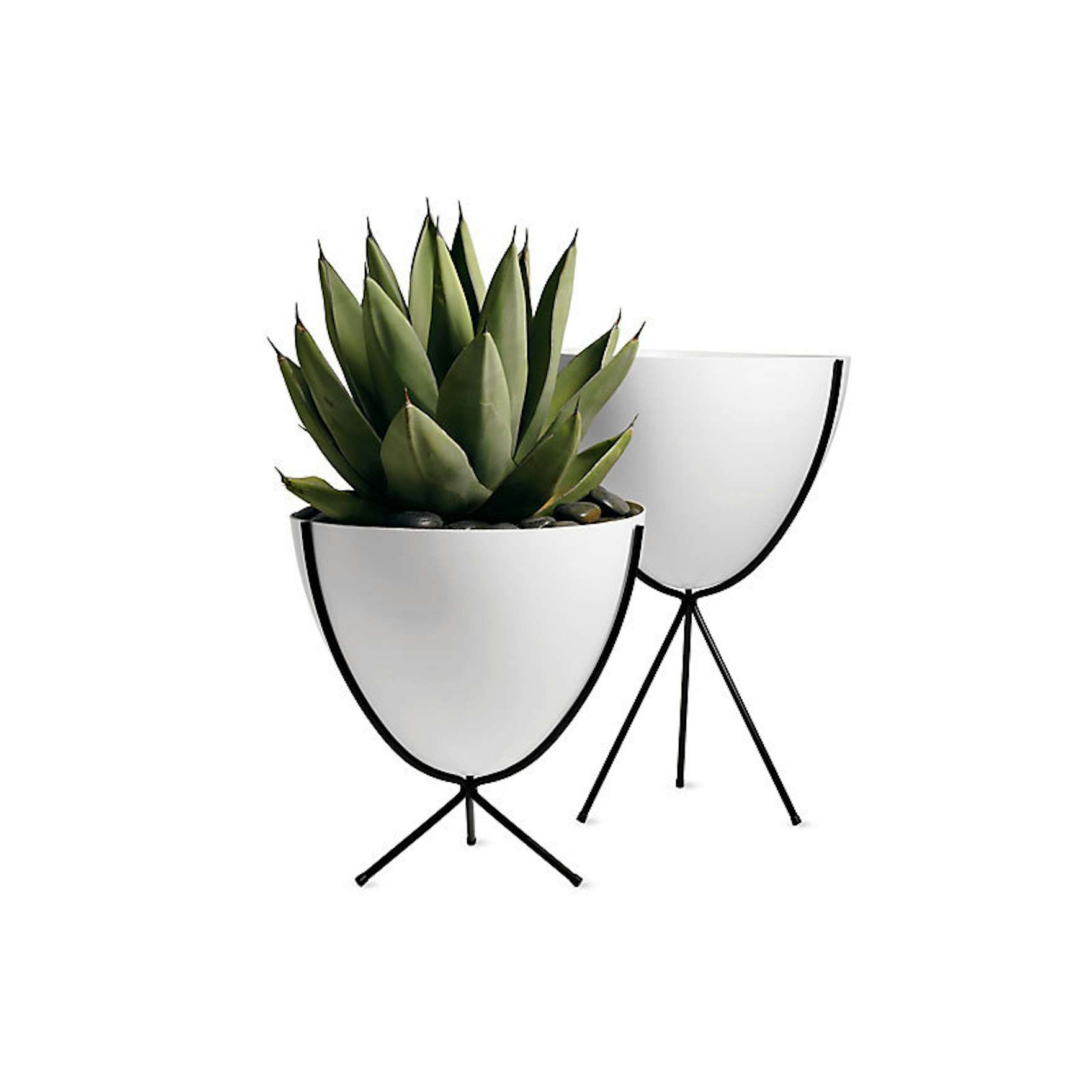 Discover the best ridge-planter.html products on Dwell - Dwell