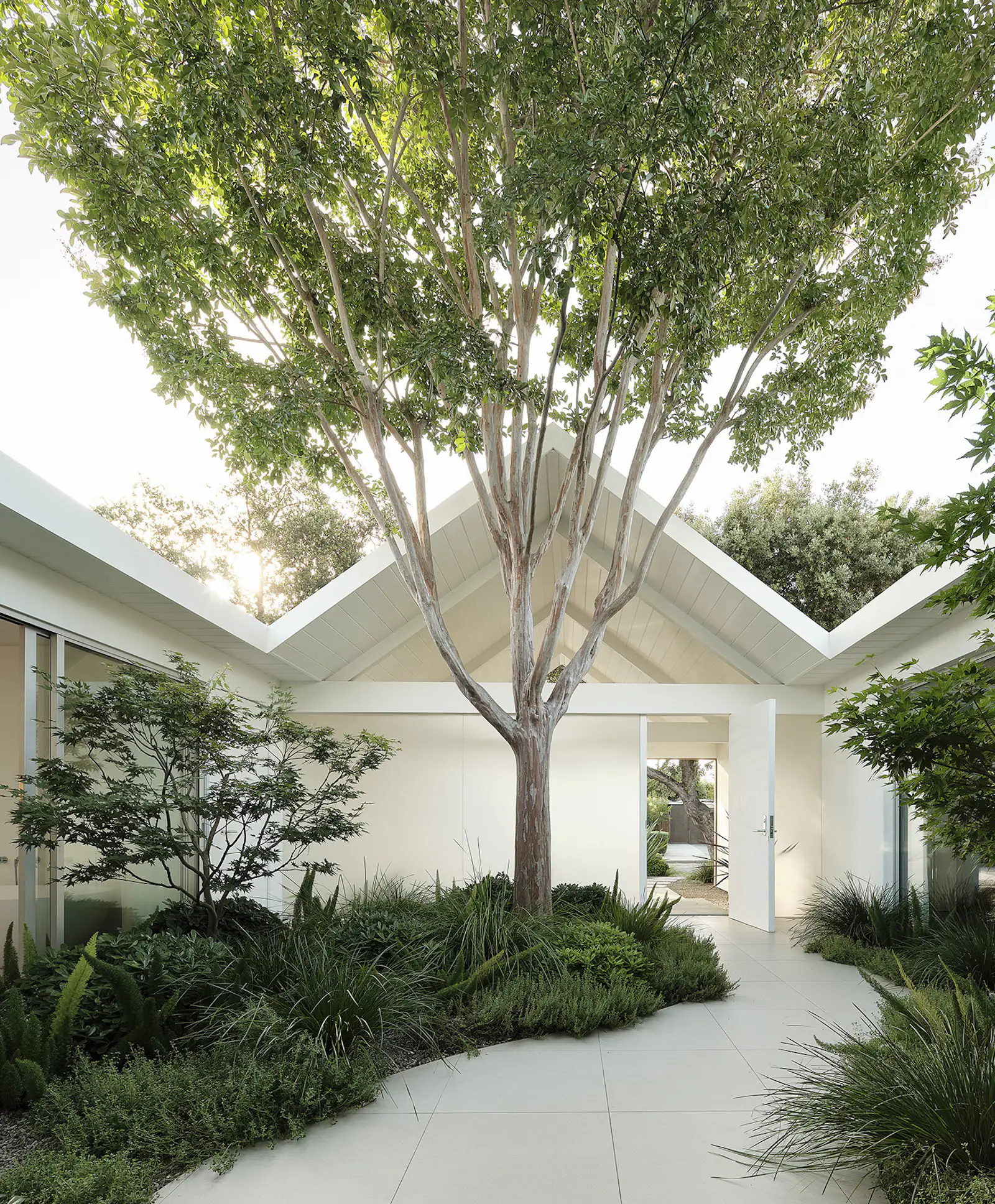 Photo 2 of 16 in A Tree Grows Right Through the Roof of This Radically ...