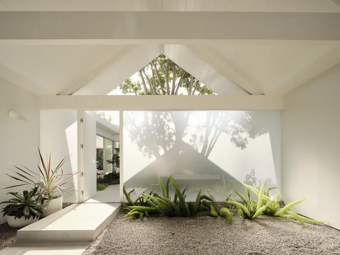 Photo 10 of 16 in A Tree Grows Right Through the Roof of This Radically ...