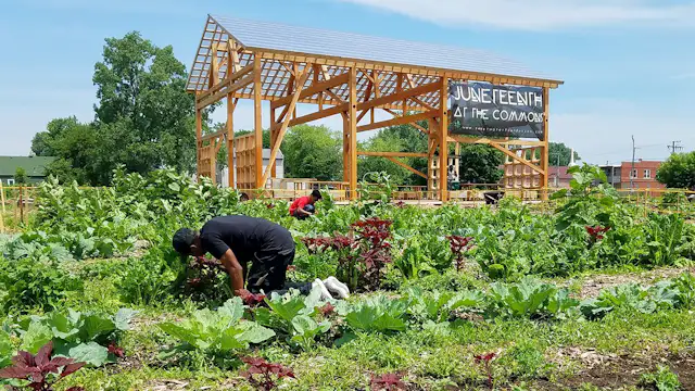 Photo 2 of 8 in Emmanuel Pratt Is Using “Urban Acupuncture” to Reclaim ...