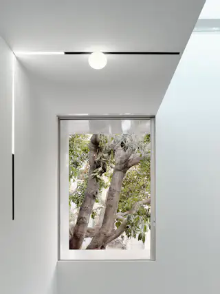 Windows Design Photos and Ideas - Dwell