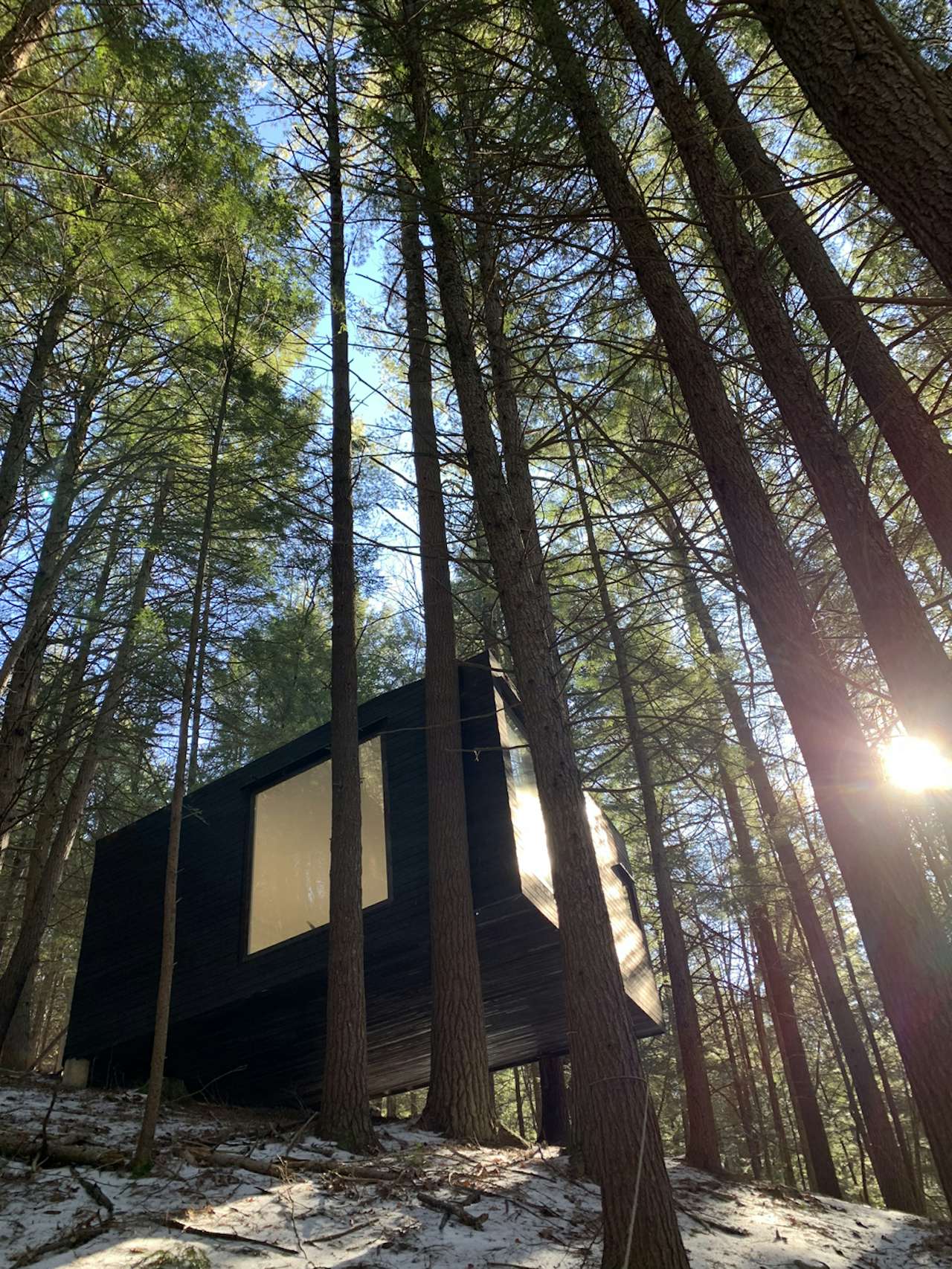 Photo 14 of 18 in A Group of Friends Build an Off-Grid Tree House in ...