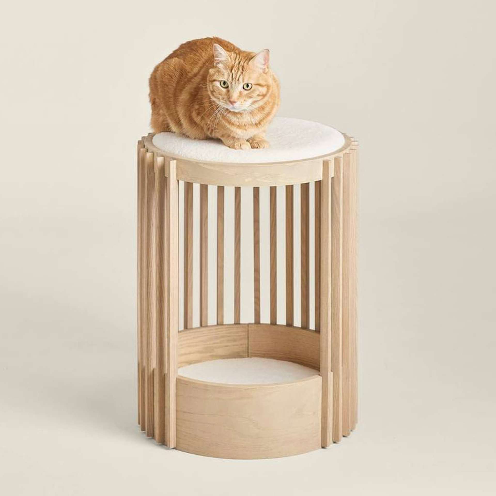 8 Modern Cat Trees That Will Look Fab in Your Home - Dwell