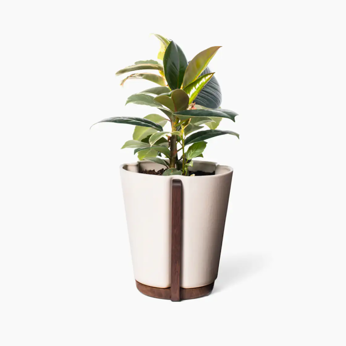 Discover the best ridge-planter.html products on Dwell - Dwell