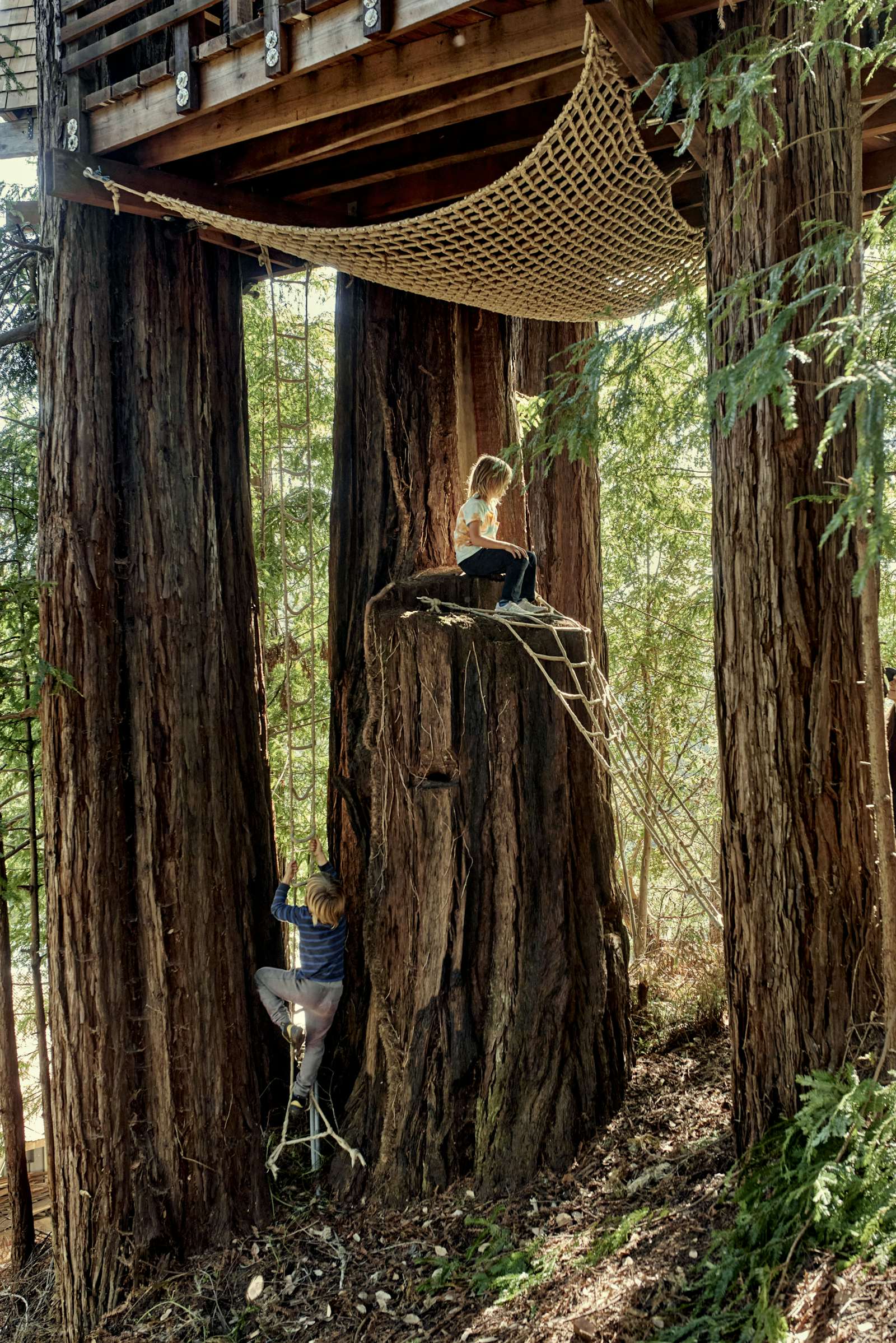 Photo 8 of 13 in A Family of Five Adds a Whimsical Tree House to Their ...