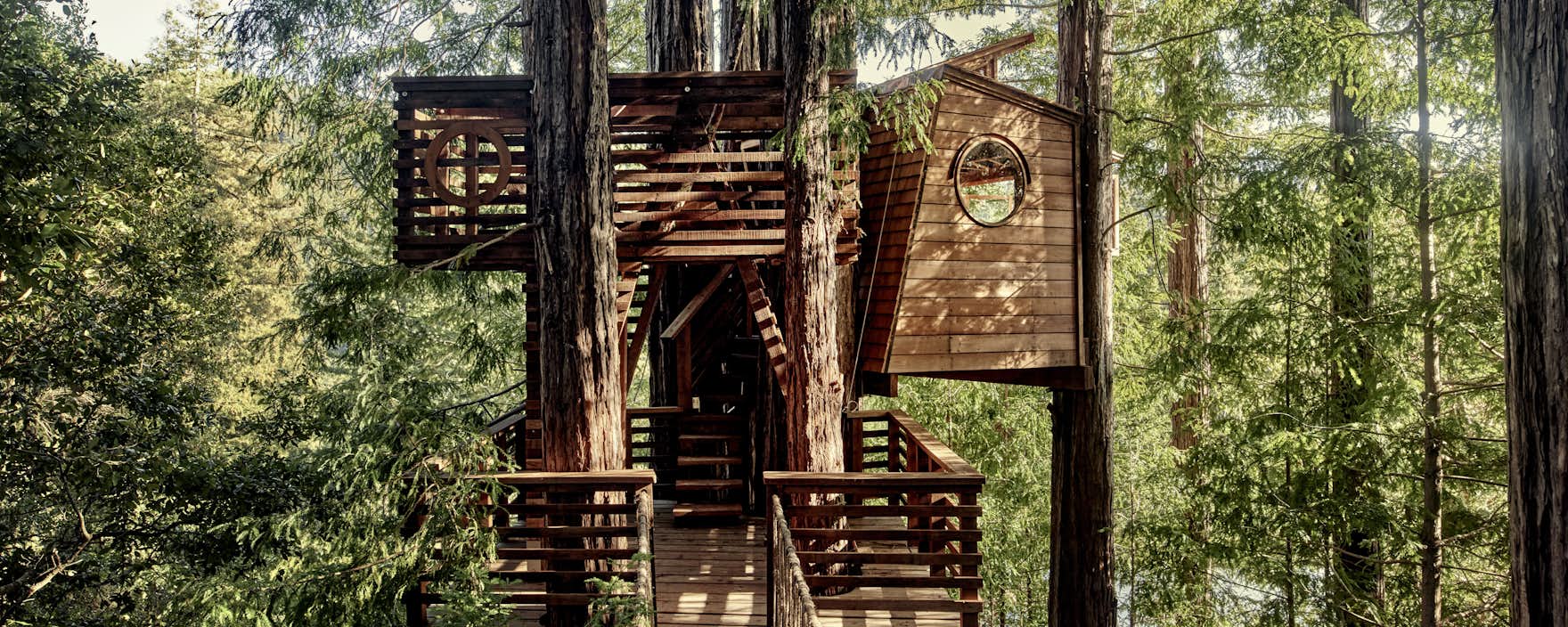 Photo 1 of 13 in A Family of Five Adds a Whimsical Tree House to Their ...