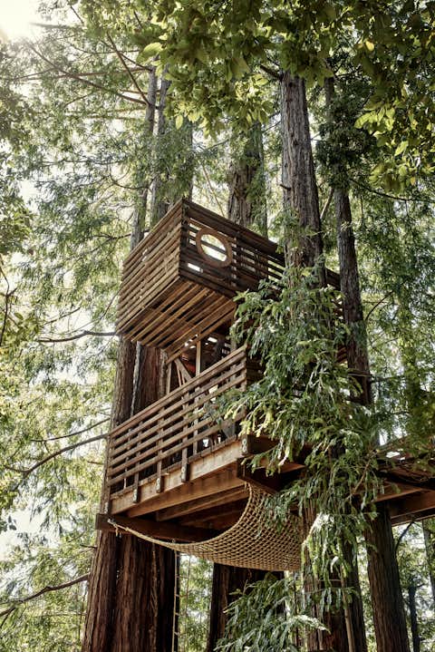 Photo 7 of 13 in A Family of Five Adds a Whimsical Tree House to Their ...
