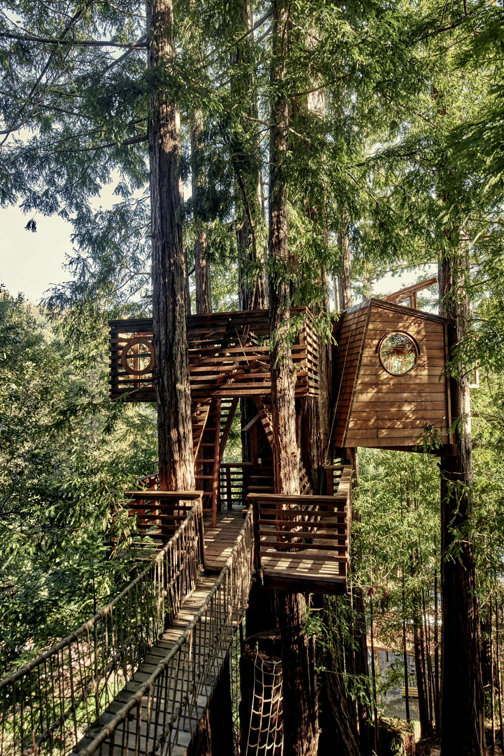 16 Unbelievable Tree Houses We're Pining Over - Dwell