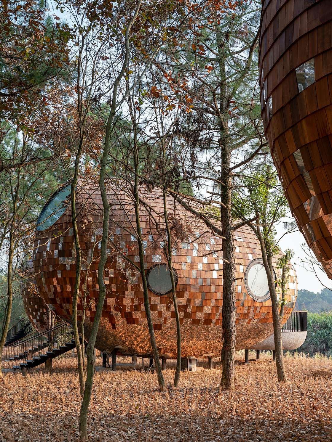 Photo 3 of 13 in These Eclectic Pods Nestled in a Chinese Pine Forest ...