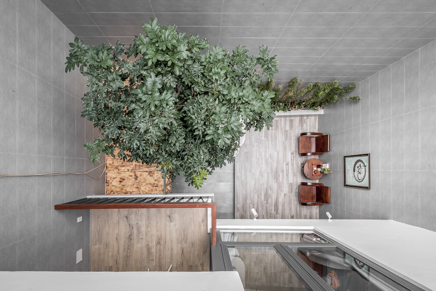 Photo 10 of 13 in A Light-Filled Atrium With a Tree House Anchors a ...